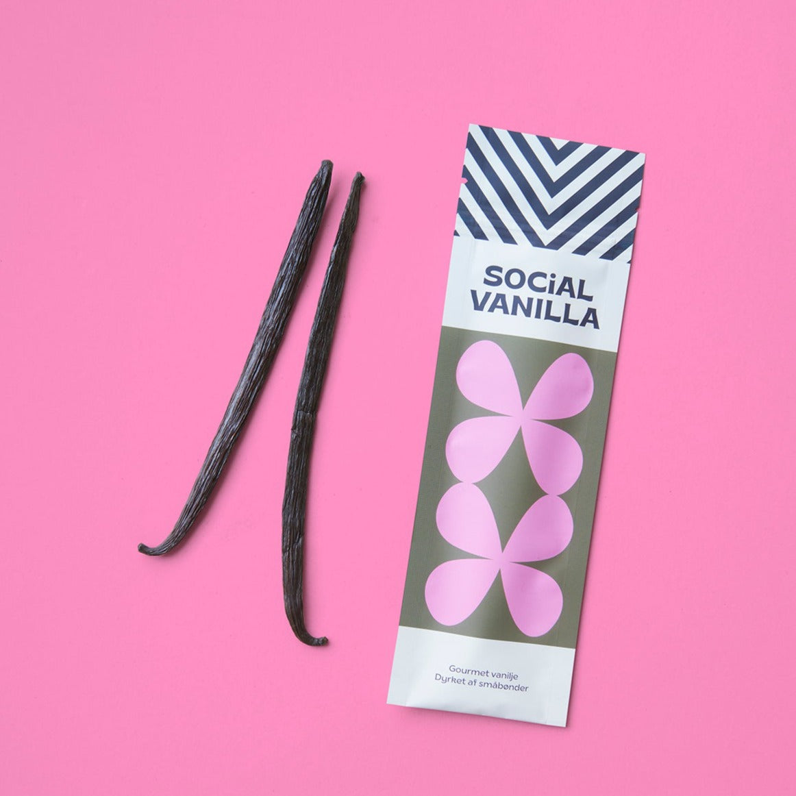 Big gourmet vanilla pods – Social Vanilla